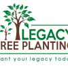 Local Tree Selection | Duluth & Hermantown, MN | Duluth Dirt